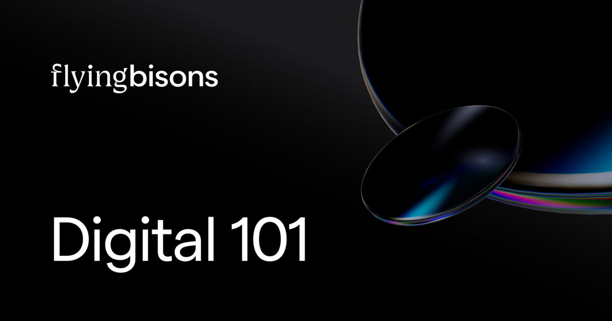 Digital 101: Knowledge Base | Flying Bisons